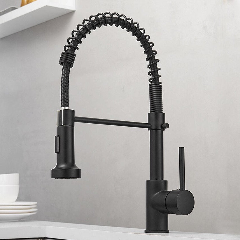 Pull Out Spring Spout Kitchen Faucet – Contemporary | AllFixture