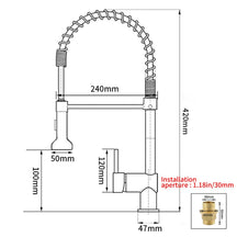 Pull Out Spring Spout Kitchen Faucet